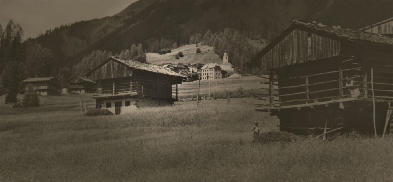 Credits - Sauris Zahre