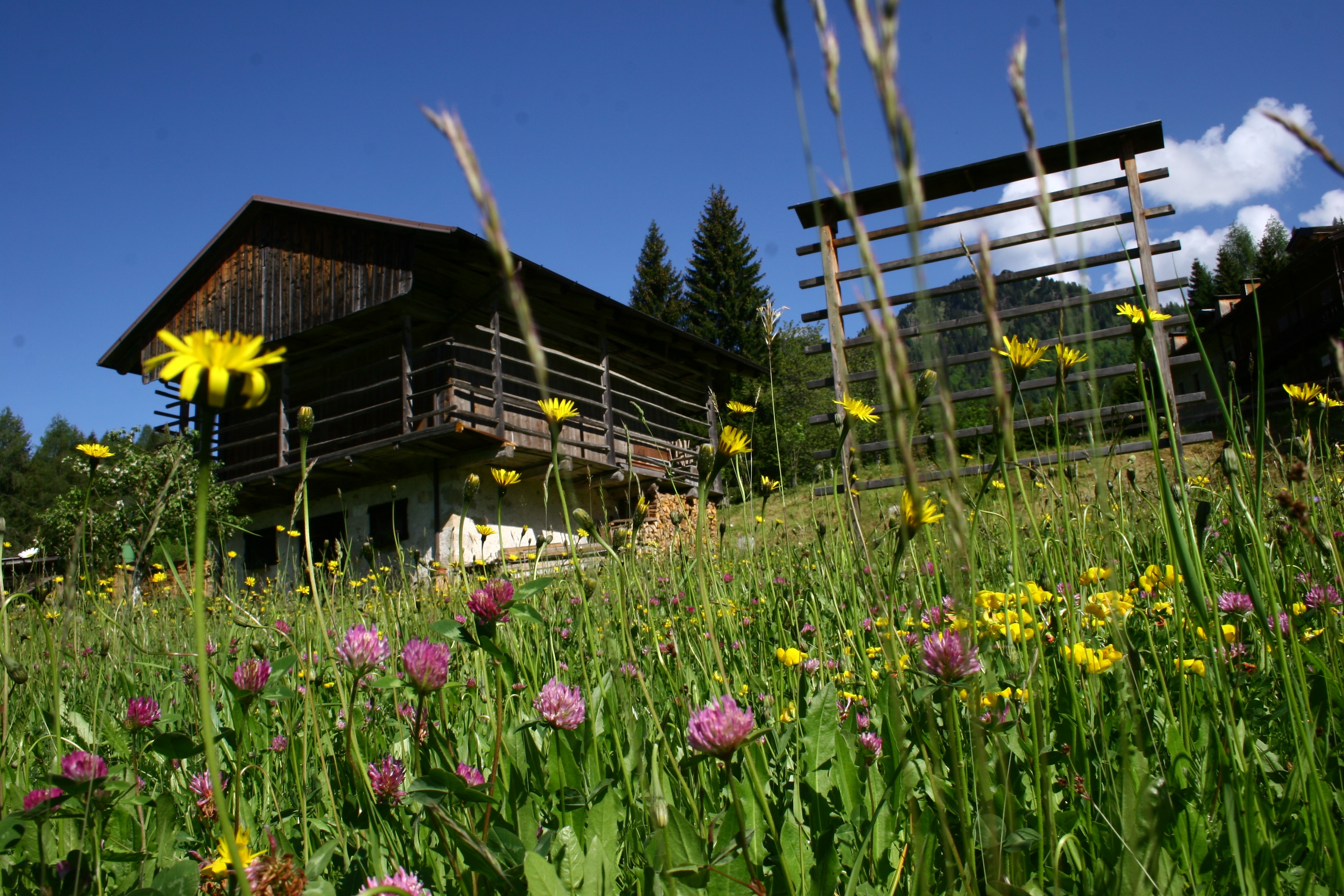 Settimana della cultura saurana - Sauris Zahre