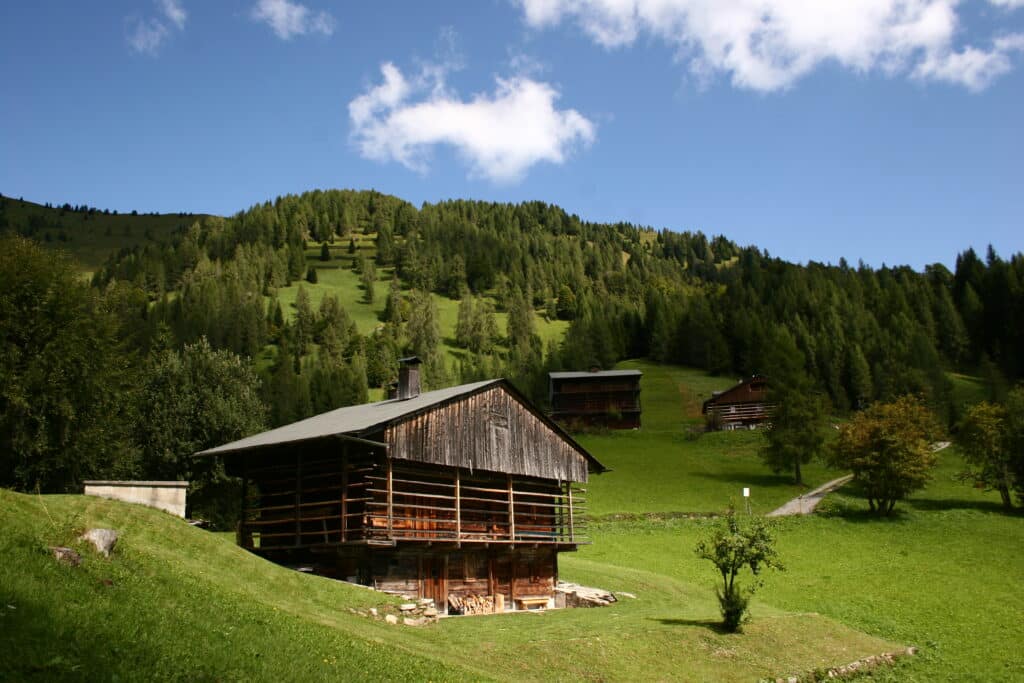 Zahrar Kulturtoge / Giornate della cultura saurana 2022 - Sauris Zahre